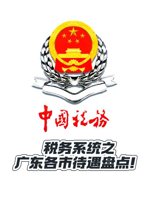 国税网截图