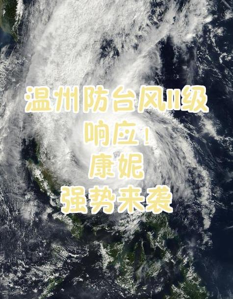 温州台风网手机版图标