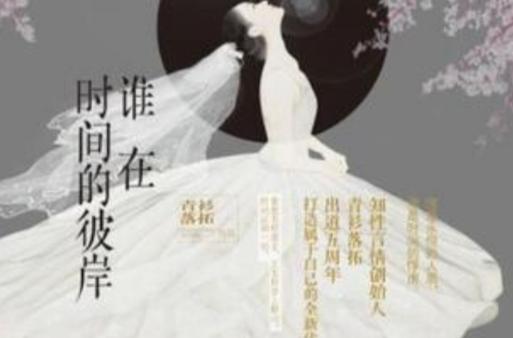 谁在时间的彼岸截图