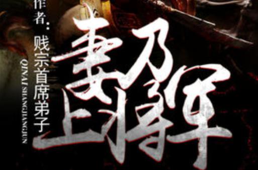 《妻乃上将军》小说在线阅读