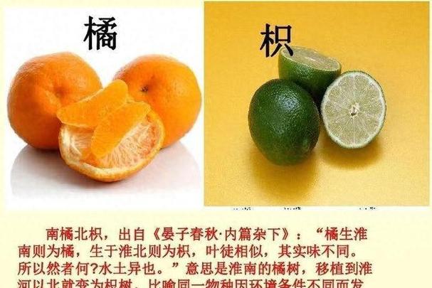 南橘北枳什么意思图标