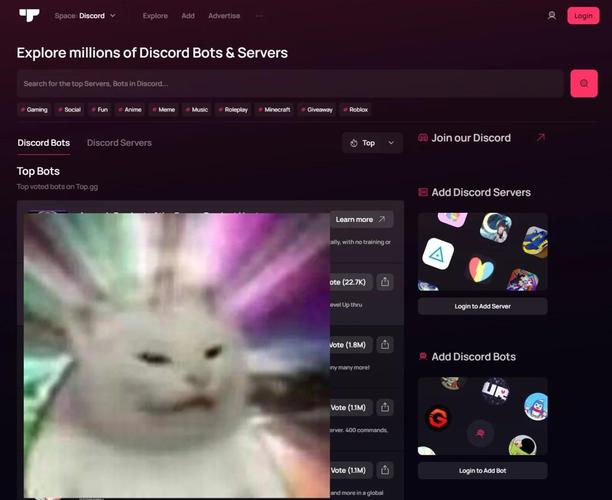 Discord中文版app截图