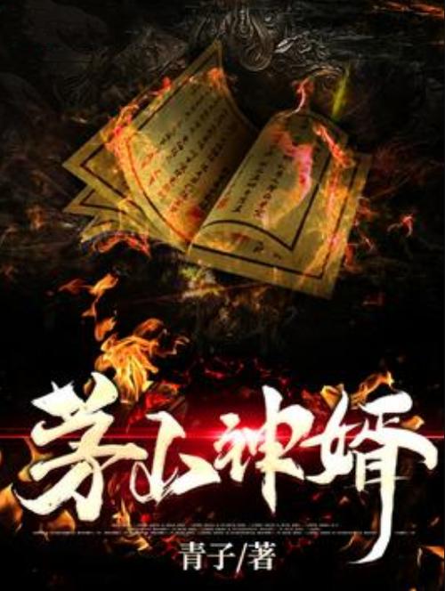 茅山神婿截图