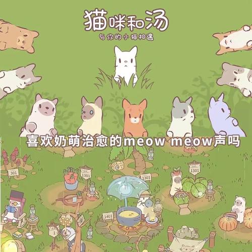 猫和汤图标