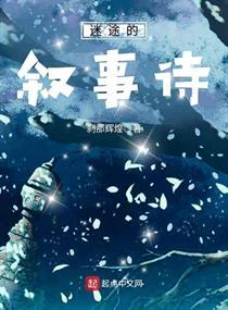 迷途的叙事诗截图