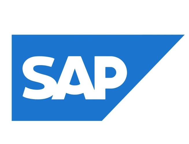 sap软件截图