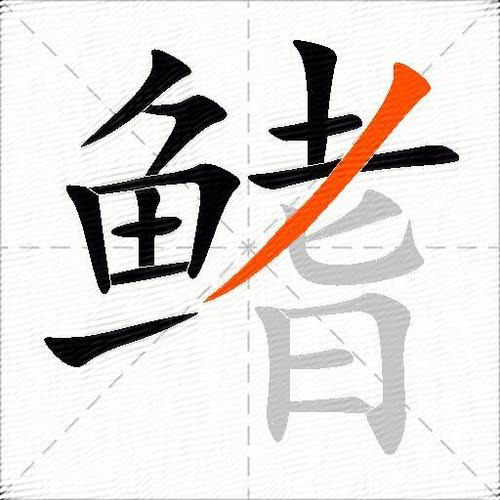 鳍怎么读