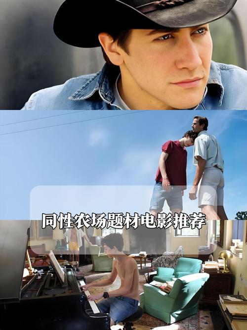 电影《农场交易》截图