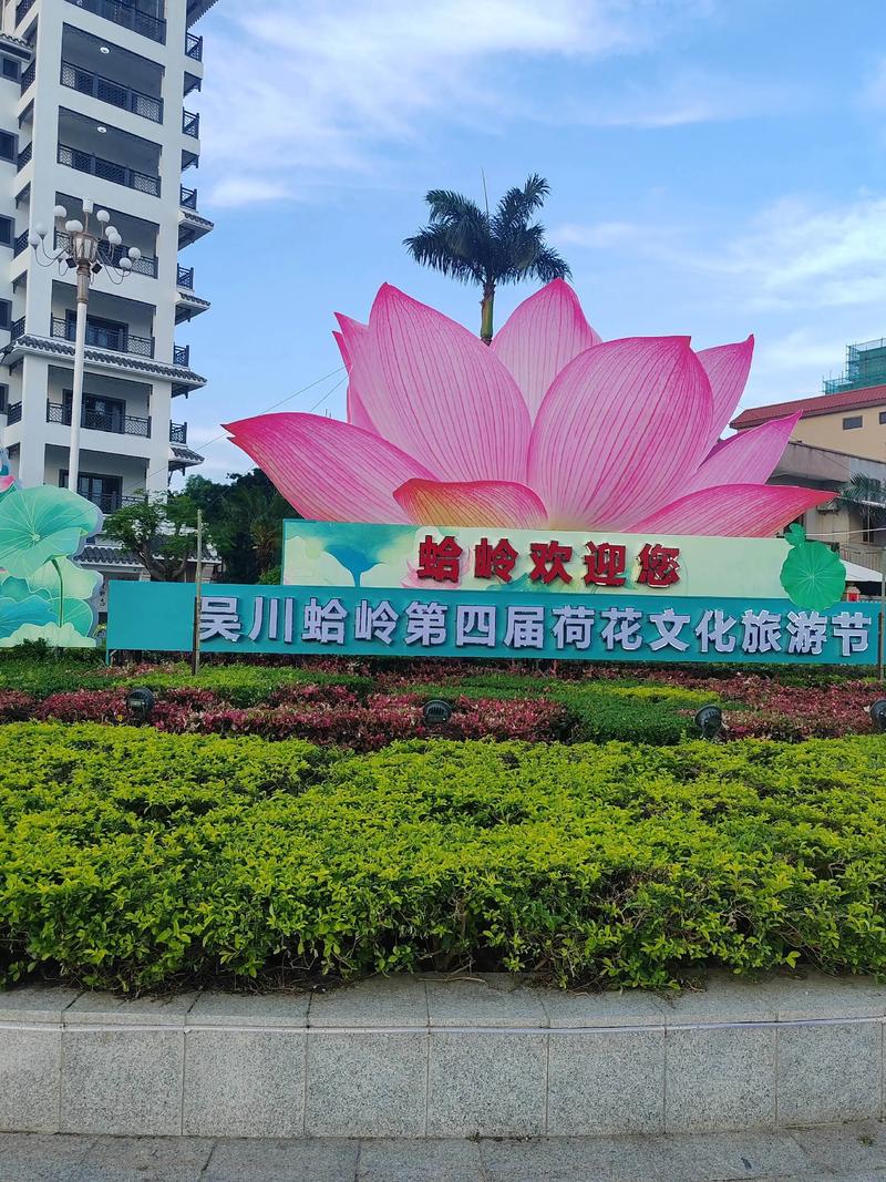 吴川论坛截图