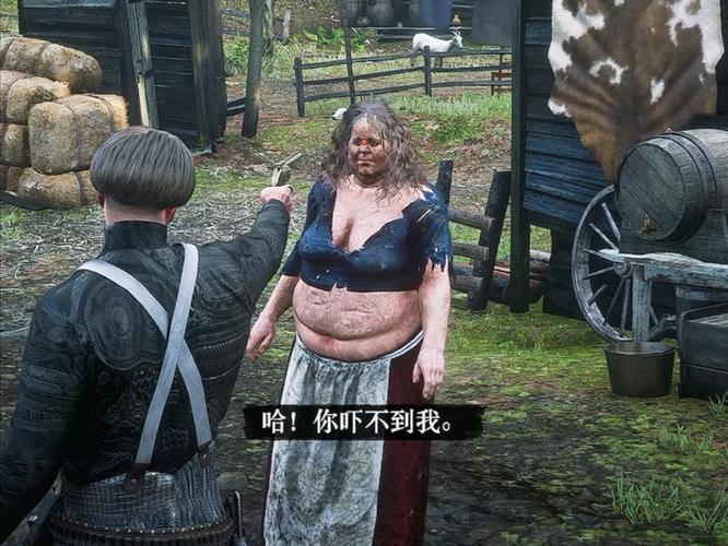 暴躁大妈荒野大镖客k12