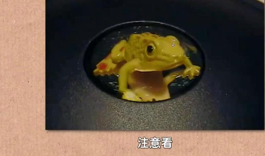 戳青蛙图标