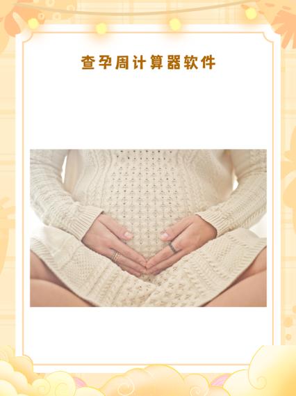 怀孕周数计算器游戏截图