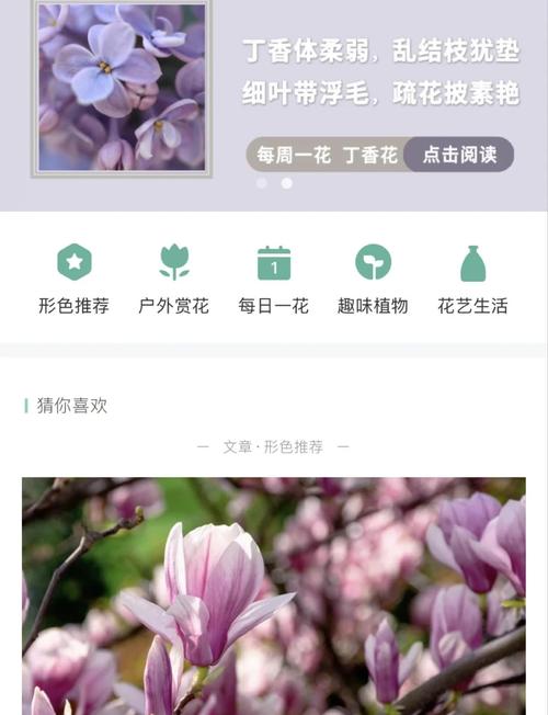 花色app图标
