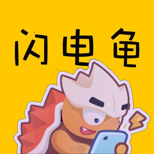 闪电龟安装免费最新版图标