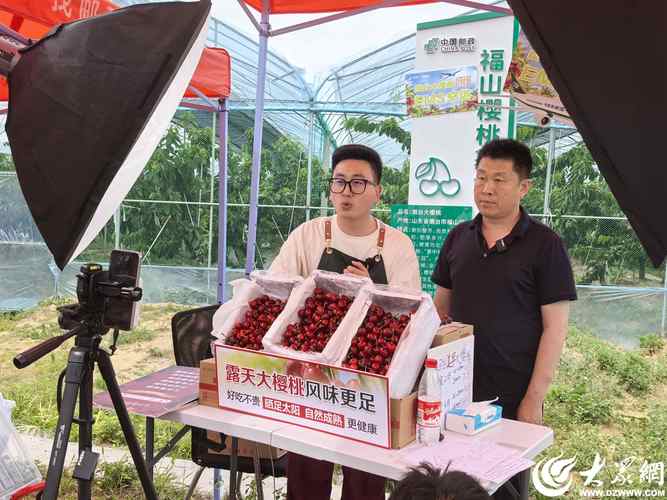阴桃直播图标
