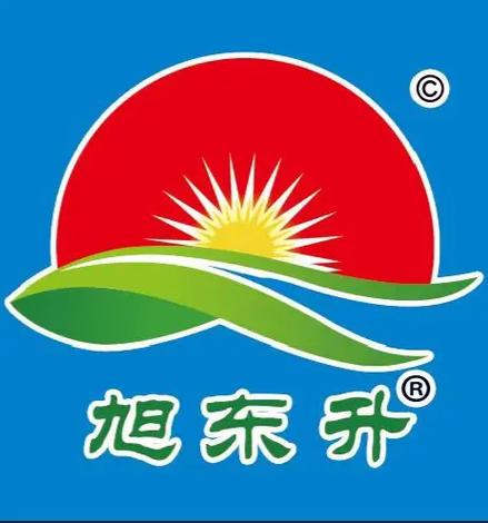 冉东升图标