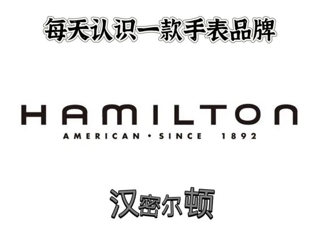 琳达汉密尔顿图标