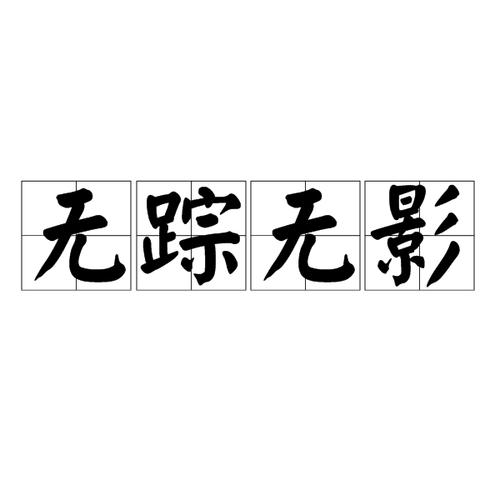 无影无踪截图
