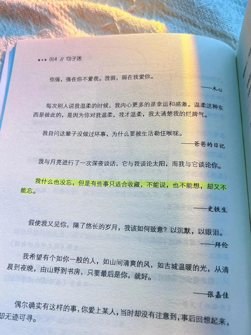句子迷截图