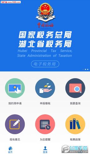 湖北电子税务局图标