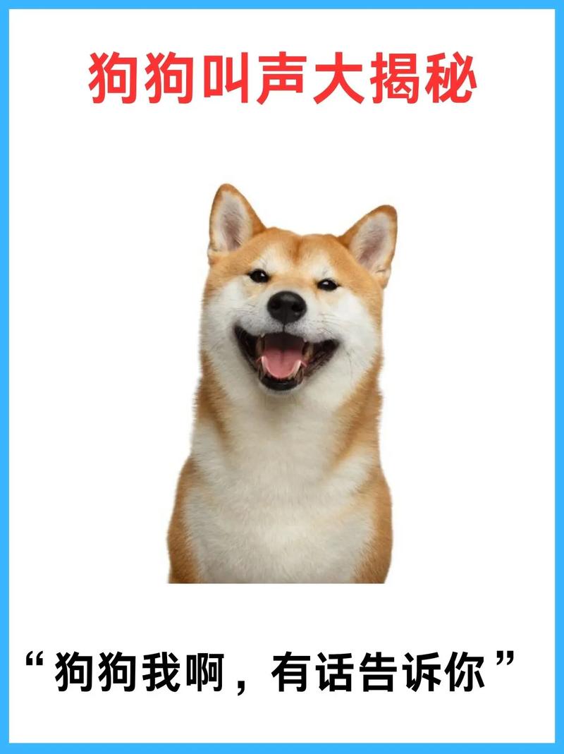 狗叫声大全截图