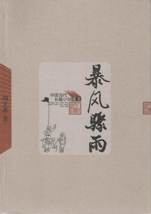 风雨小说网截图