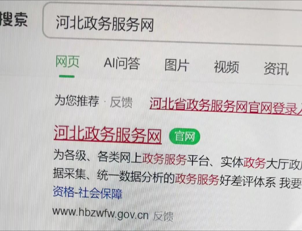 河北政务服务网图标