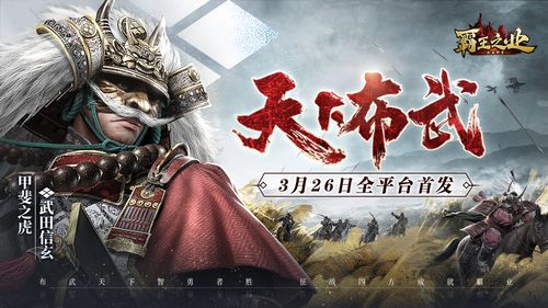 《霸王之业