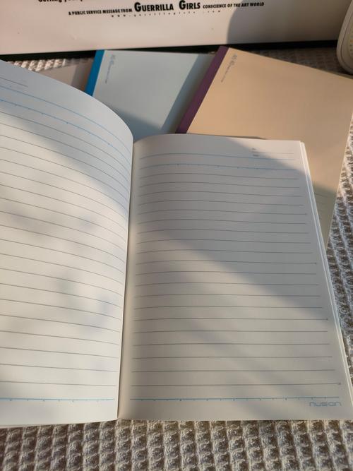 翻页日记本(DearDiary)电脑版官方2025最新版截图