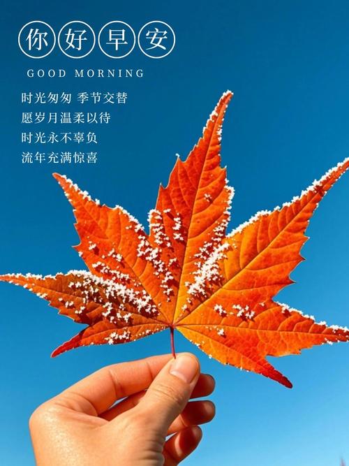 秋去冬来的文案唯美又好听秋去冬来落叶的唯美句子