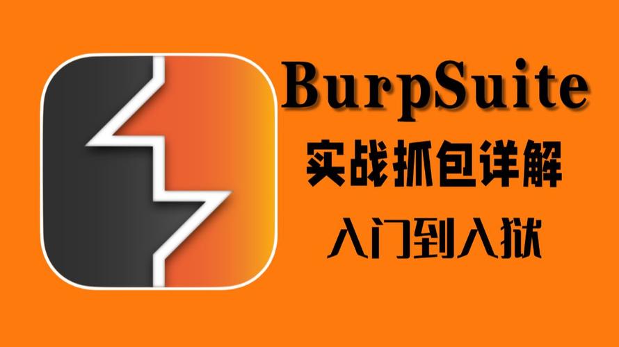 抓包帮手截图