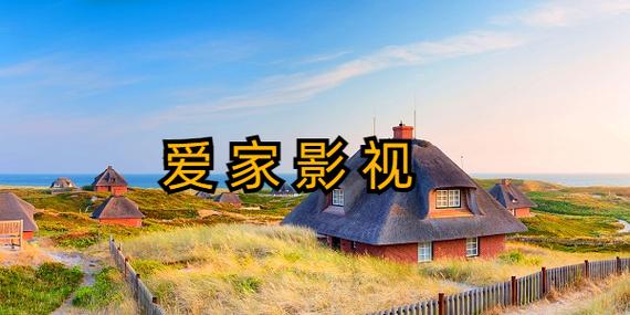 爱家影视M版app安装图标