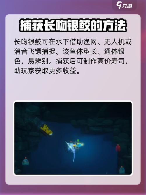 潜水员戴夫长吻银鲛怎么抓图标