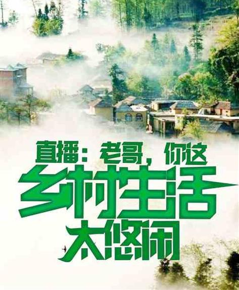 悠闲乡村直播间截图