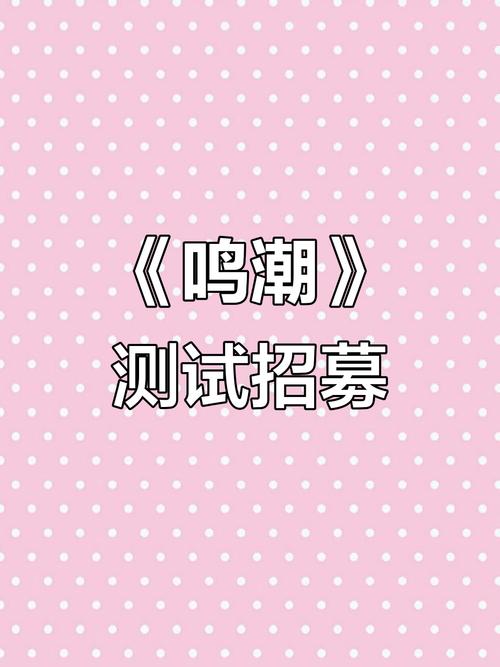 鸣潮招募测试资格参加方法大公开!截图
