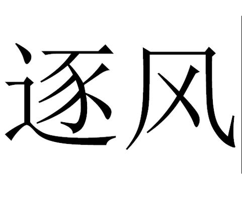 逐风流(下)