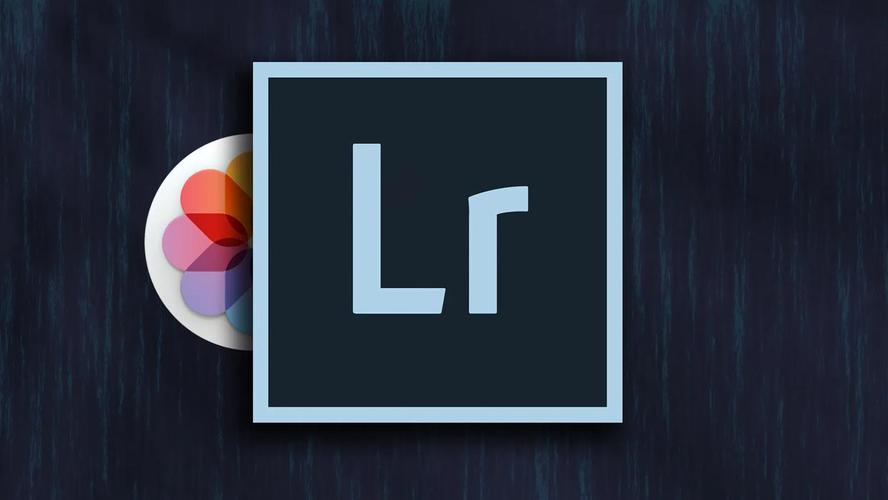 Lightroom2021电脑版2025最新截图