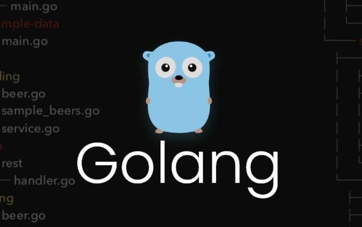 Golang电脑版官方2025最新版截图