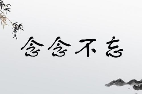 不忘年年,不忘念念截图
