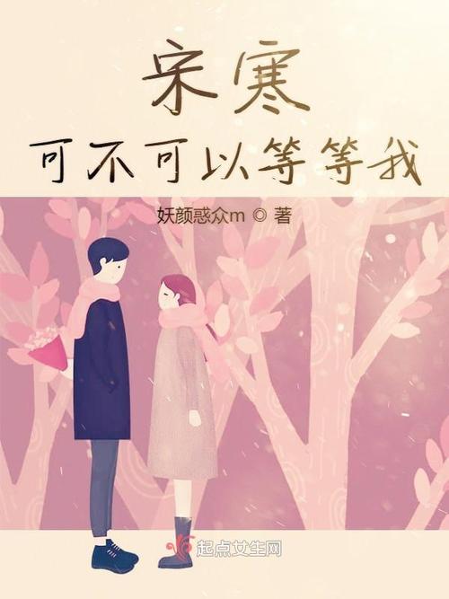 《宋寒可不可以等等我》第十一章、宋寒生病截图