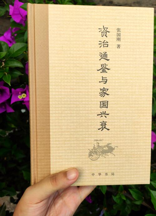 季风讲资治通鉴里的智慧图标