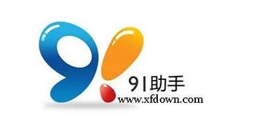 91装机助手电脑版官方2025最新版图标