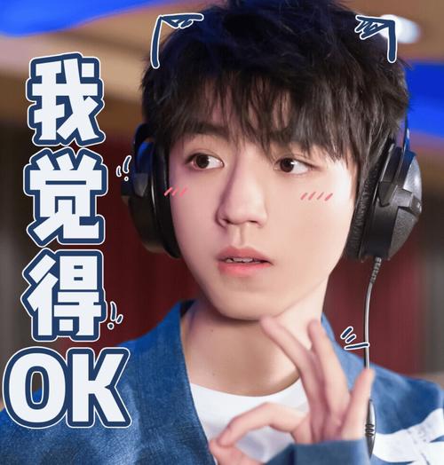 王俊凯表情包tfboys王俊凯表情图片带字图标
