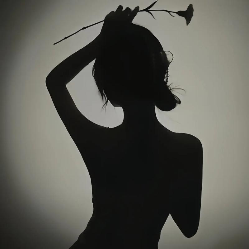 极致自由意境头像唯美感各人有各人的隐晦和皎洁