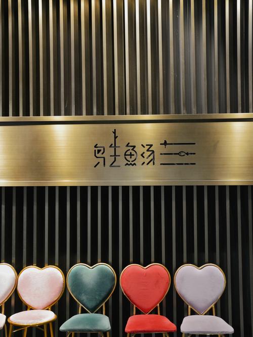 鸟生鱼汤丸子截图