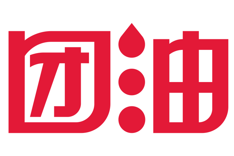 团油专业版app截图