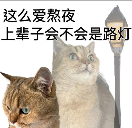 失眠的微信表情大全这么爱熬夜上辈子会不会是路灯图标