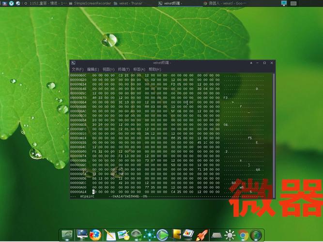 十六进制编辑器(HexprobeHexEditor)电脑版官方2025最新图标