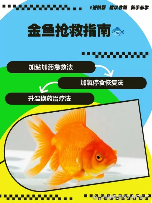 金鱼抢救的办法图标