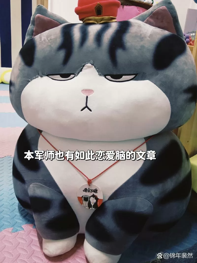 坏坏猫搜书还能用吗截图